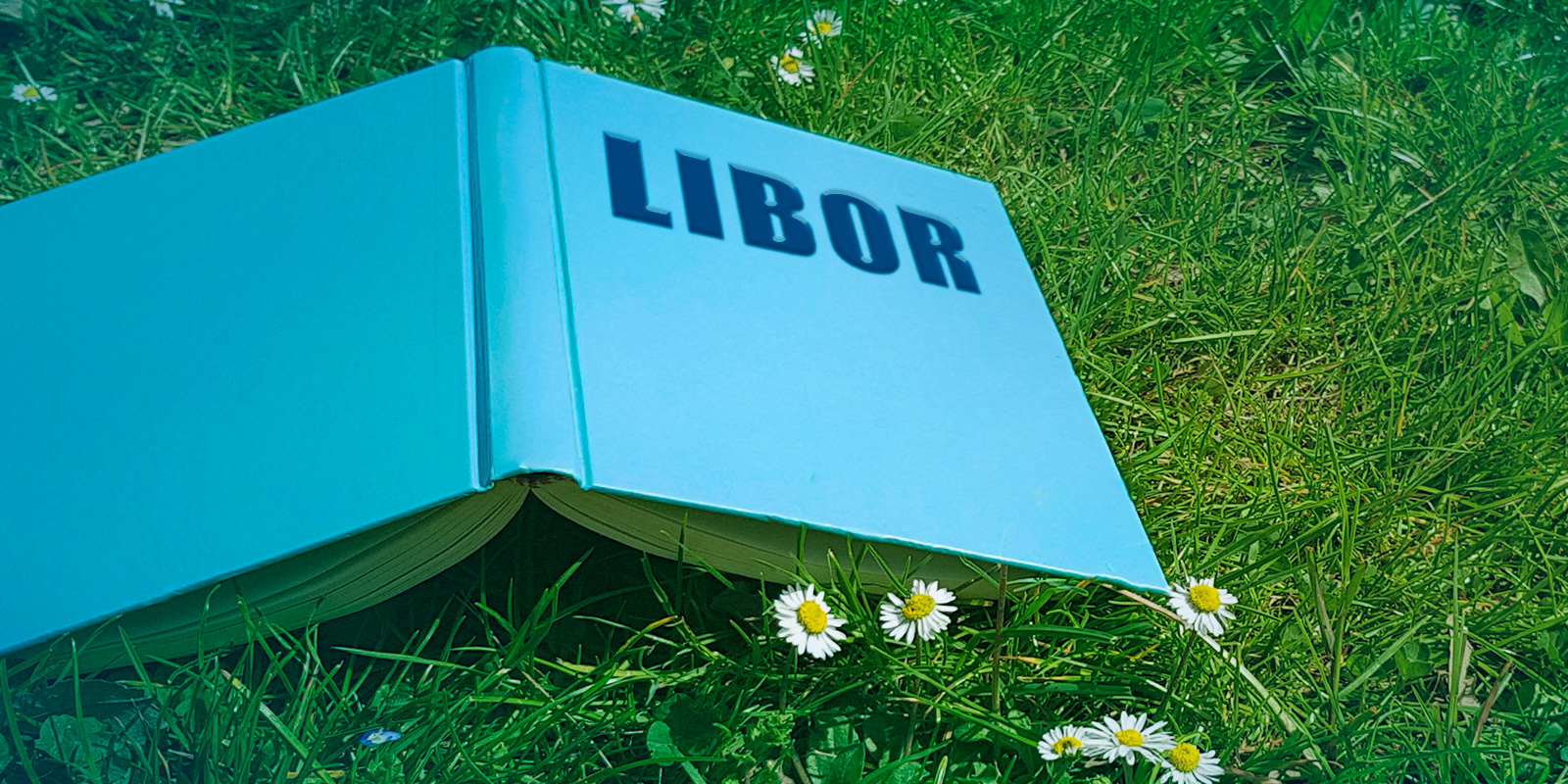 SEC's Rare Joint Statement on LIBOR Transition | Jones Day