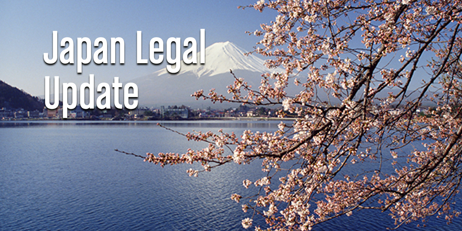 Japan Legal Update | Vol. 38 | Insights | Jones Day