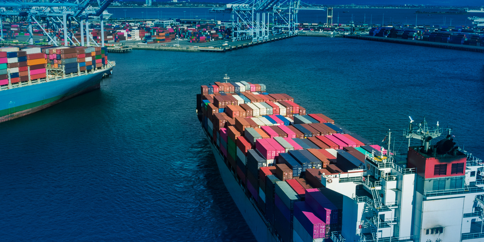 U.S. Postpones Payment of Normal Import Duties | Jones Day