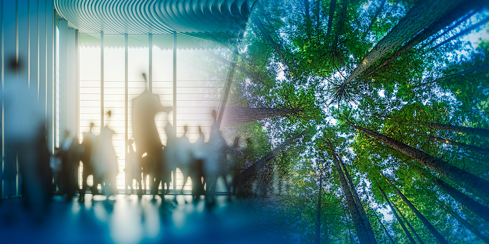 SEC Again Urged to Regulate ESG Disclosures | Jones Day