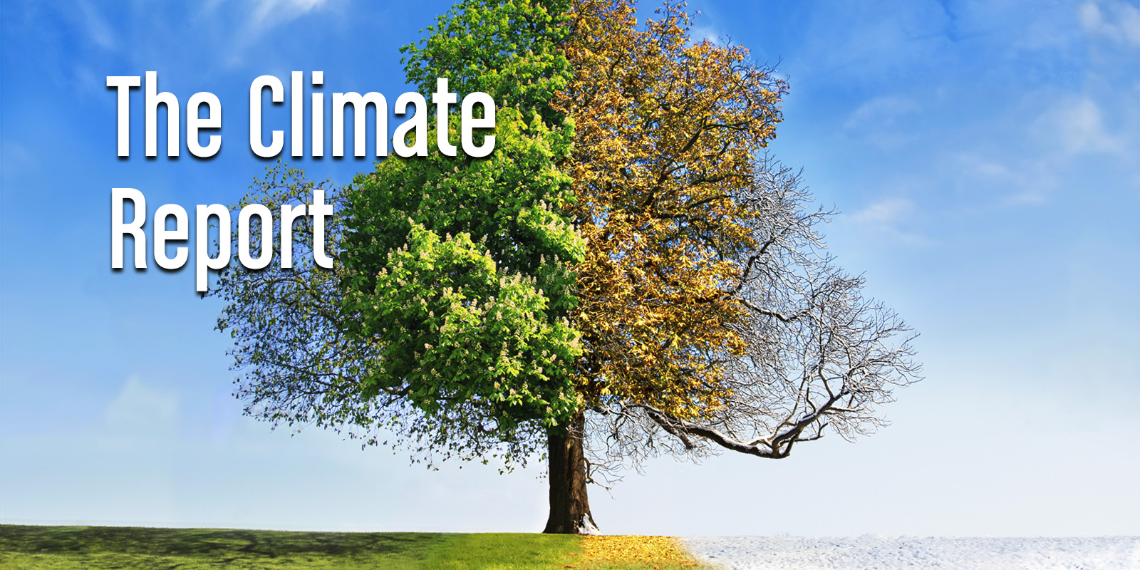 Commission Reveals Proposal for the First European Climate Law | Jones Day