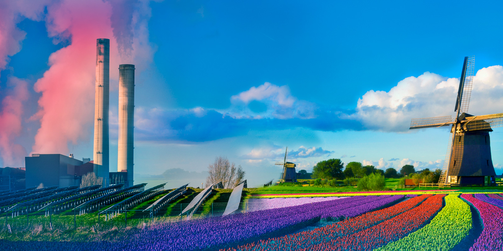 royal dutch shell case