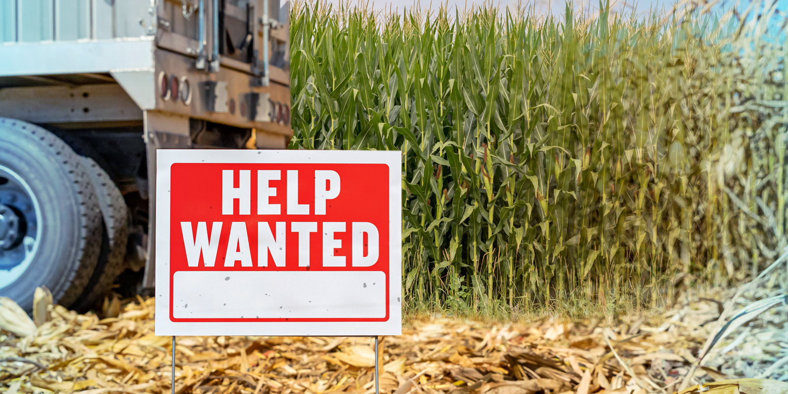 Navigating Labor Shortages in the Food Industry | Jones Day