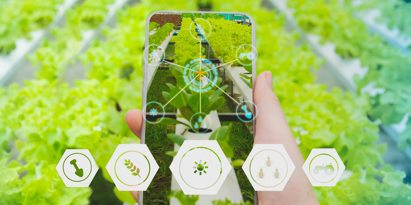 FDA Submits Final Food Traceability Rule | Jones Day