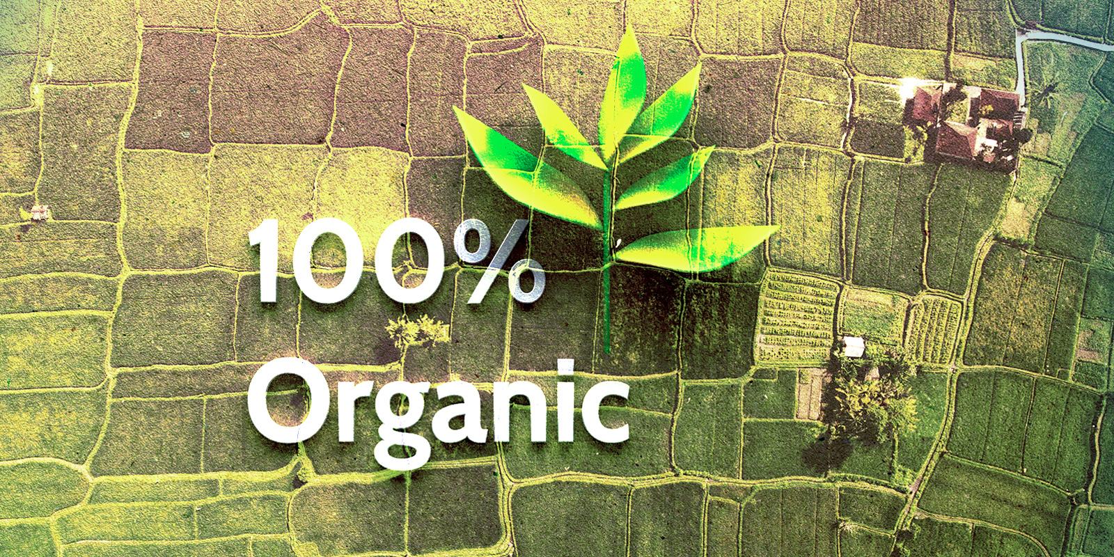 USDA Publishes Final Rule on Organic Enforcement | Jones Day