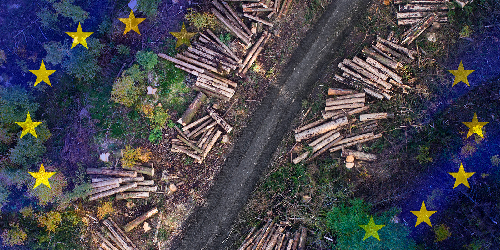 Challenges of the New EU Deforestation Regulation | Jones Day