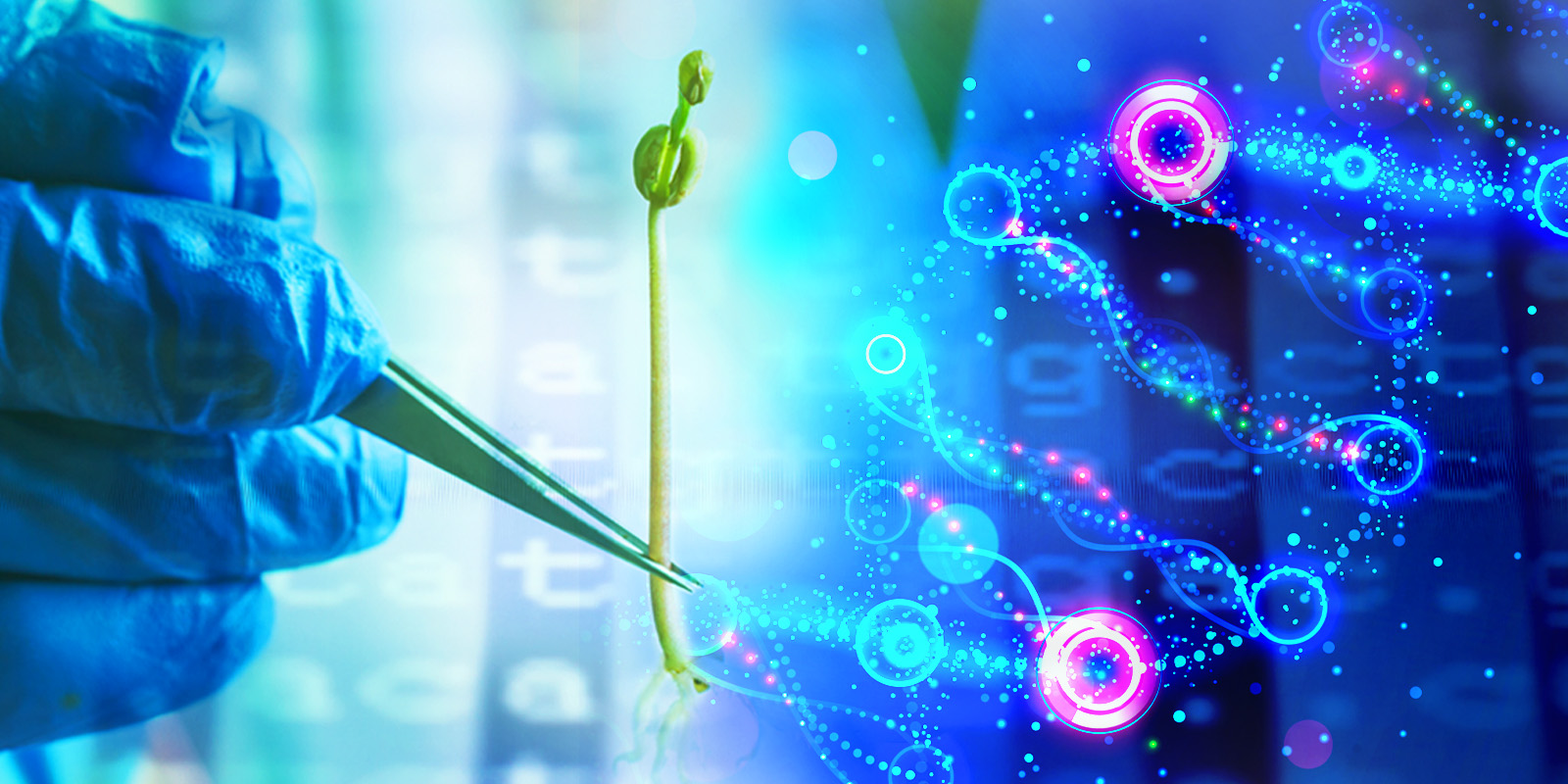 Ban on European Patents for Plants Engineered by "New Genomic ...