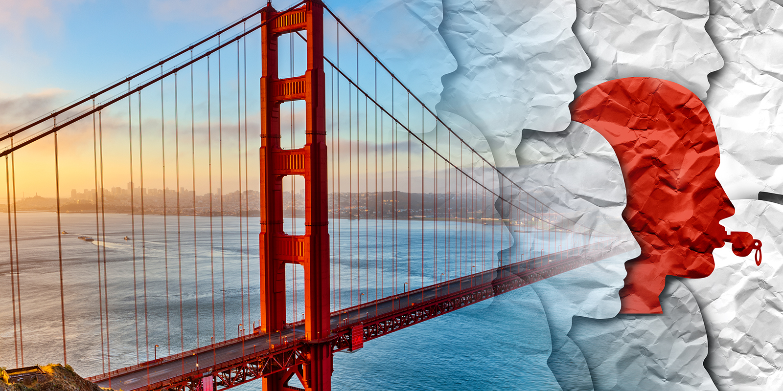 With a Focus on Intellectual Property, NDCA Launches Its Own ...