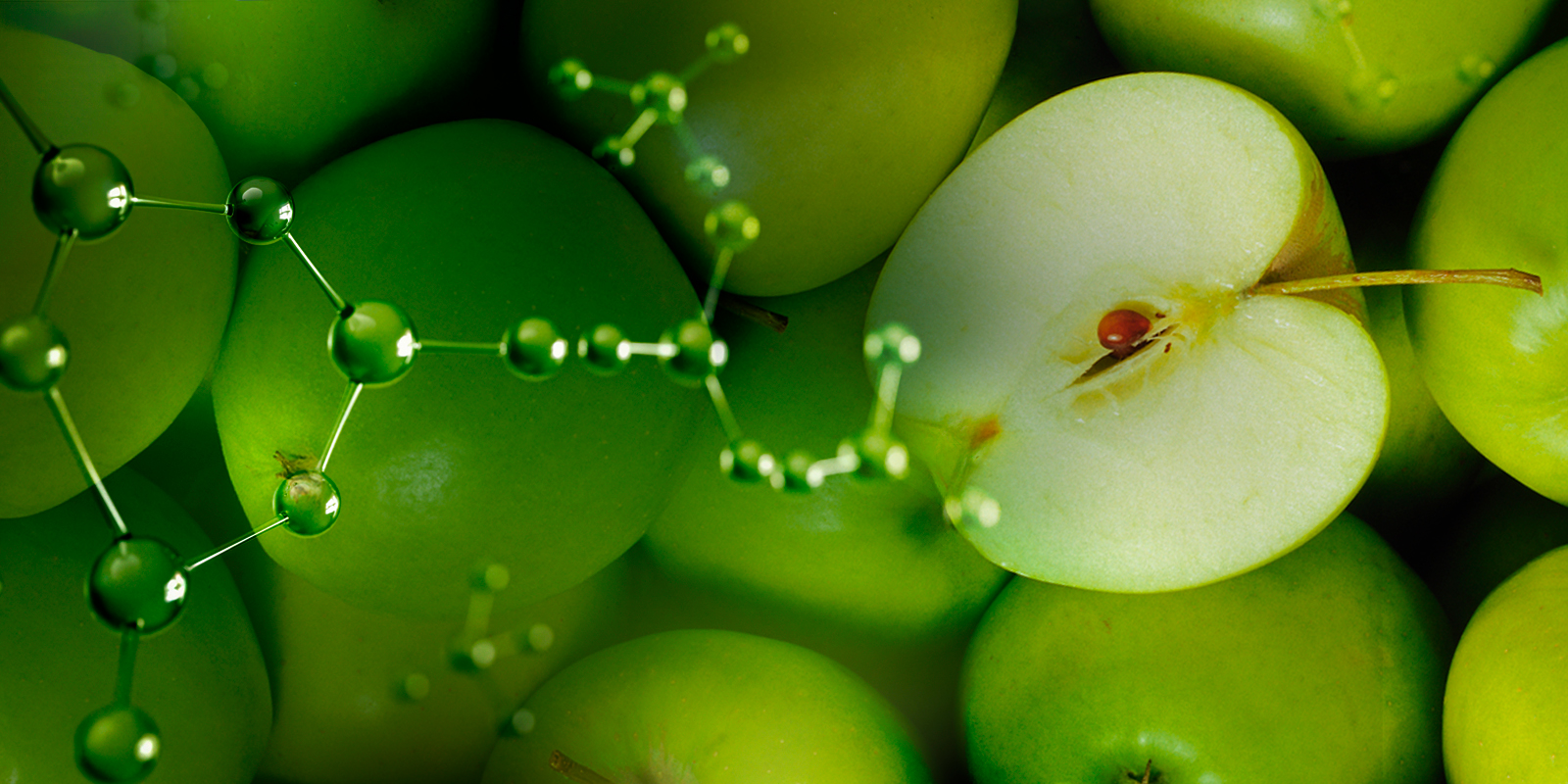 FDA's New Human Foods Program: Enhancing Post-Market Safety Assessments ...