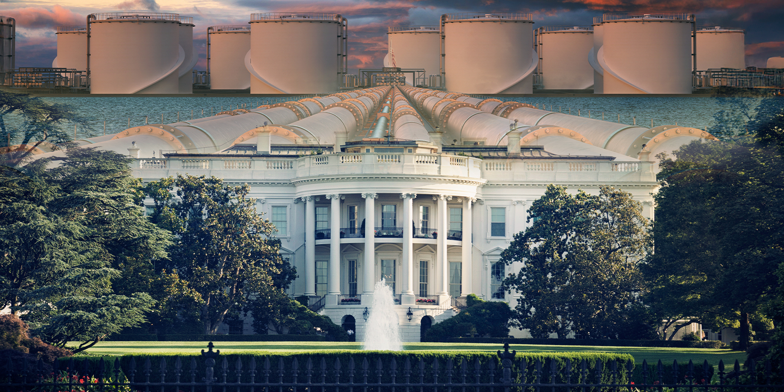 Energy Projects Could Get Quicker Wetland and Endangered Species ...